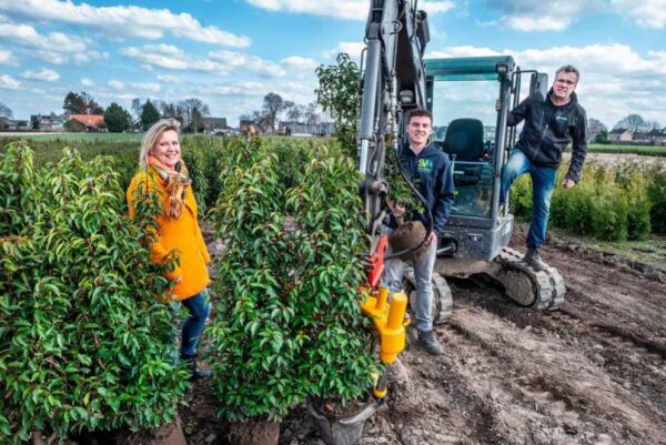 Kwekerij | Stan Verwaaij Haagplanten